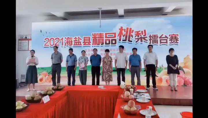 桃梨擂台赛嘉礼堂拍客秀澉浦镇紫金山村