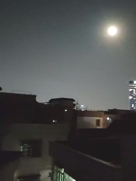 多彩暑假随手拍