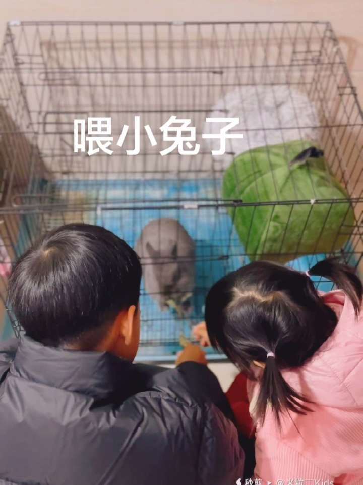 寒假随手拍第二季金华市浦江县南苑小学103季俊霖 劳动篇