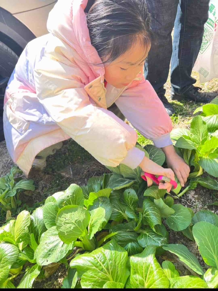 寒假随手拍第二季古墩路小学308班吴语萱