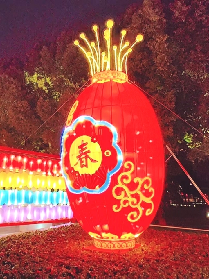 寒假随手拍第二季和小伙伴们一起玩烟花