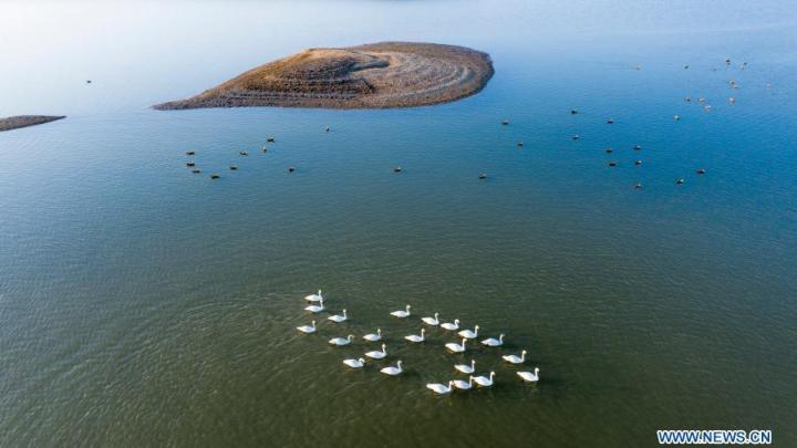 China's largest freshwater lake sees increasing water level