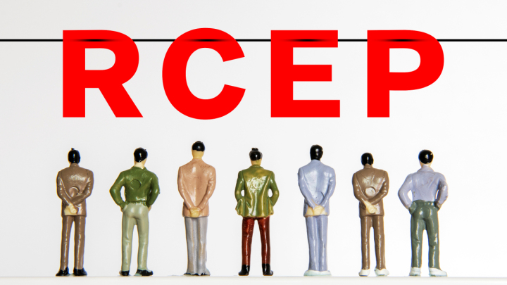 RCEP生效一周年，浙企海外拓市成效几何，前景怎样？