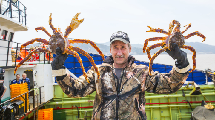 帝王蟹成为象山新特产，俄罗斯帝王蟹集散基地在石浦成立