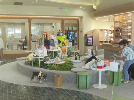 Wenzhou’s Pingyang county honored China’s first “pet-friendly city”