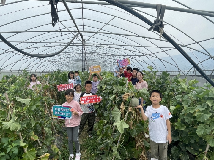 入田间话变迁!嘉兴经开锦绣社区开启别样研学之旅