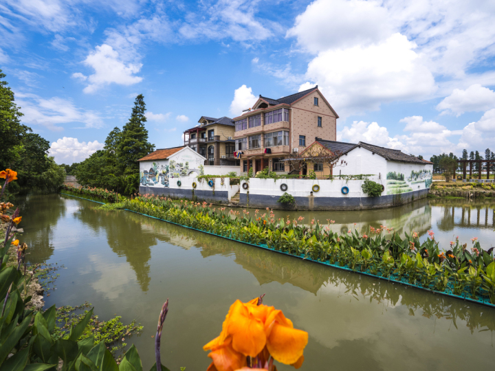 千万工程”看嘉兴丨海盐县沈荡镇白洋村：建设幸福和谐高地