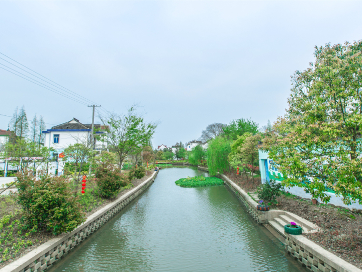 千万工程”看嘉兴丨平湖市当湖街道通界村:擦亮 乡村善治通界模式”金名片