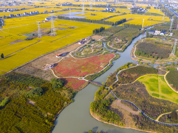 千万工程”看嘉兴丨海盐县西塘桥街道刘庄村：主动求变构建发展新格局